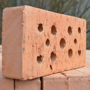 brique Terre Cuite 5x11x22 perforée rouge